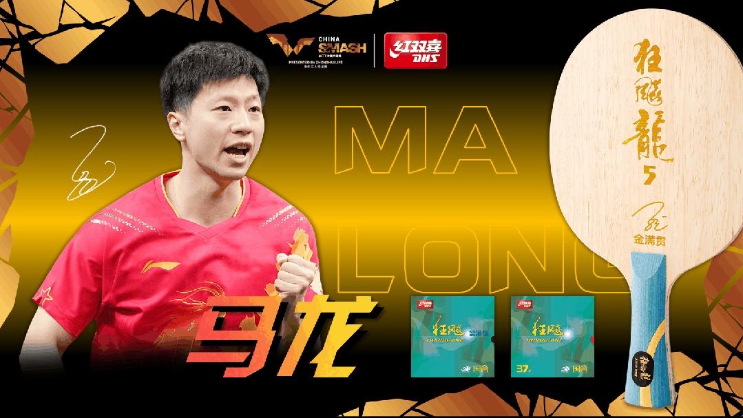 DHS Canada Table Tennis | Ping Pong Equipment Paddles Blades Rubber ...